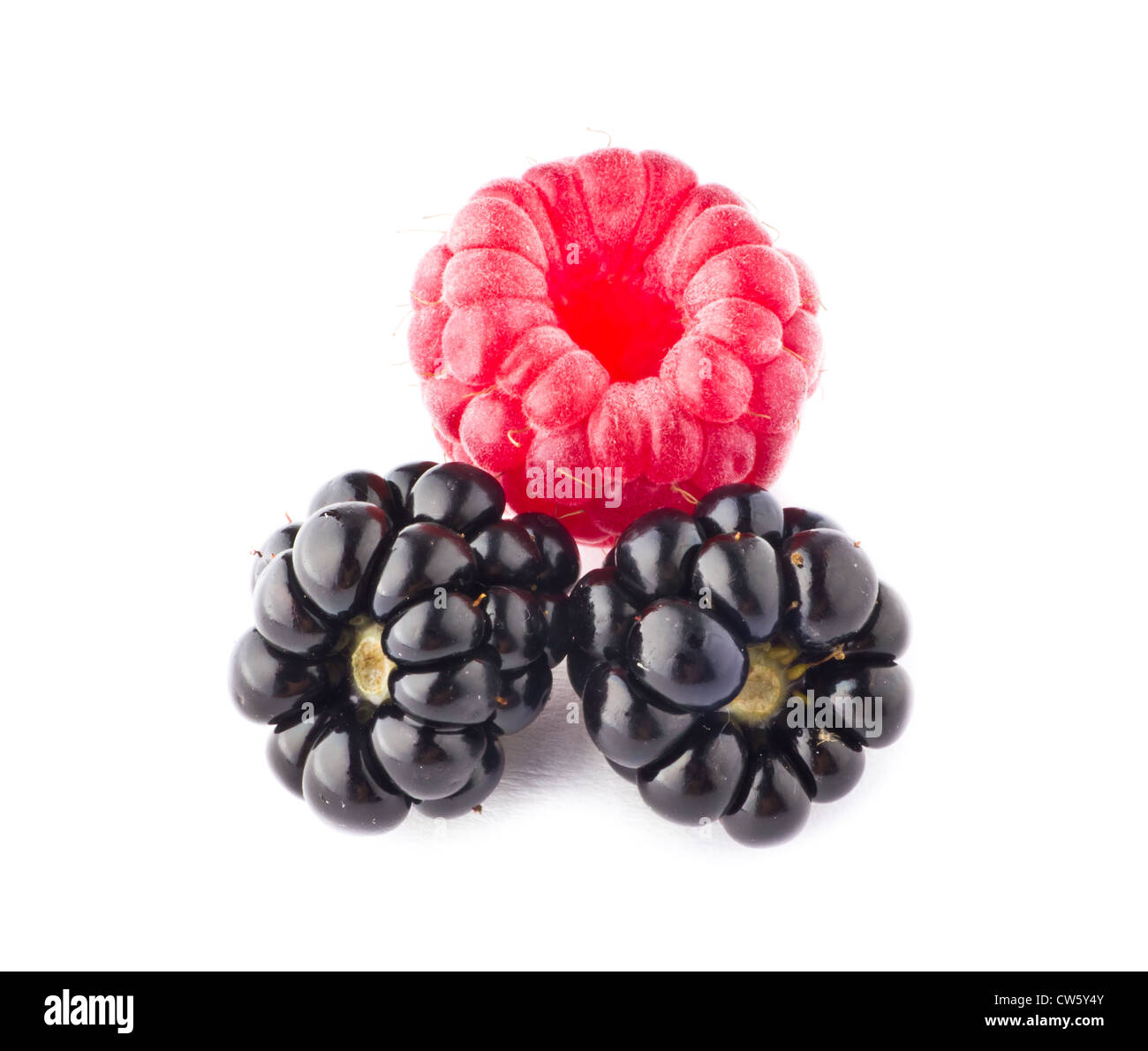 Fresh blackberry fruits isolated on white background Stock Photo - Alamy