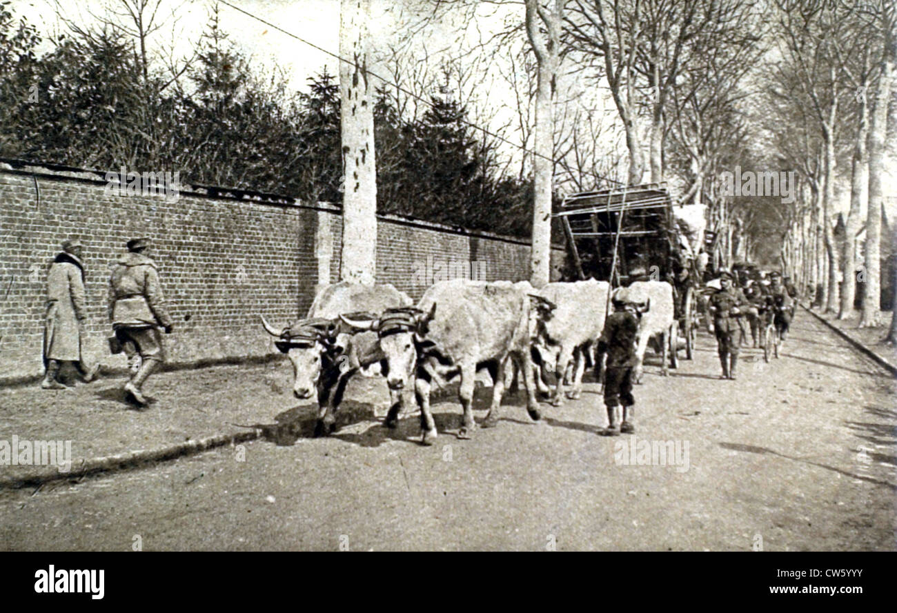 Civilian population hi-res stock photography and images - Alamy