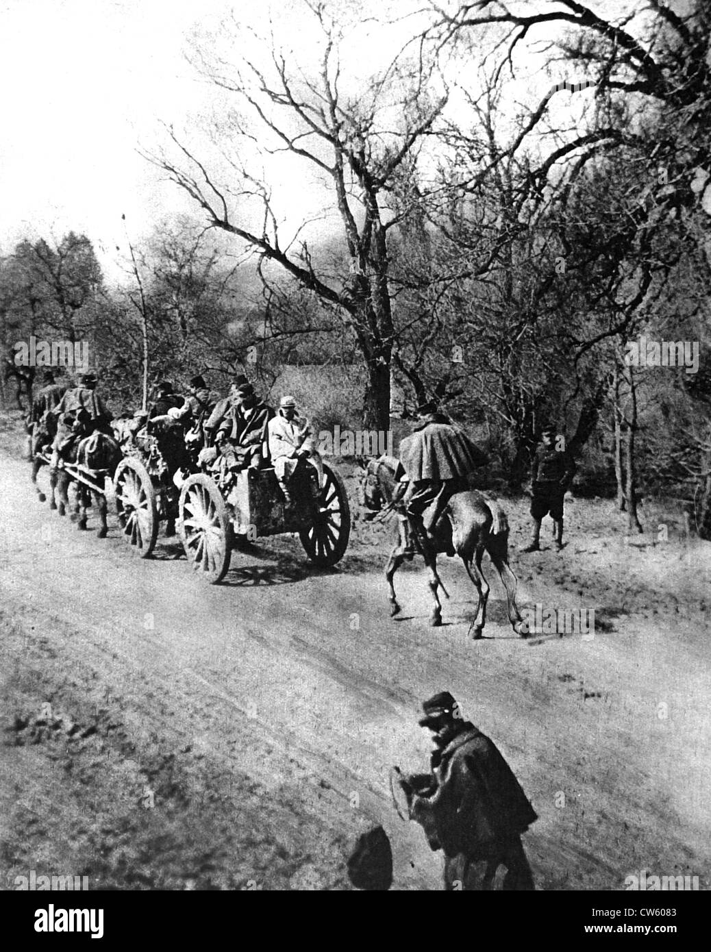 Ww1 horses hi-res stock photography and images - Alamy