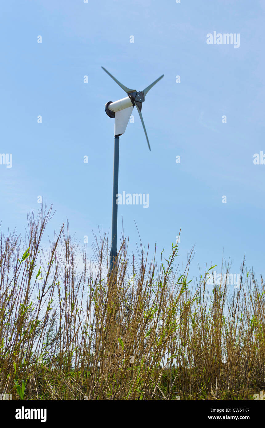 Wind Turbine Trees High Resolution Stock Photography and Images - Alamy