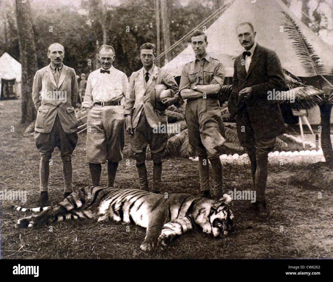Prince of Wales hunting tiger in Nepal, in 1922 Stock Photo - Alamy