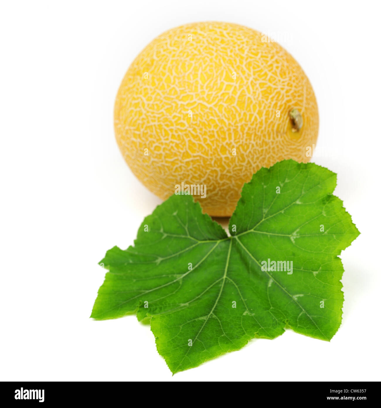 galia melone isolated on white Stock Photo - Alamy