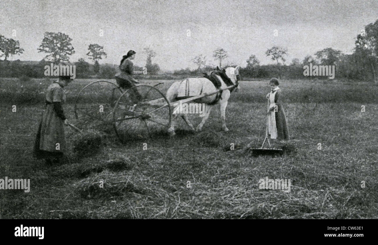 Haymaking hi-res stock photography and images - Alamy
