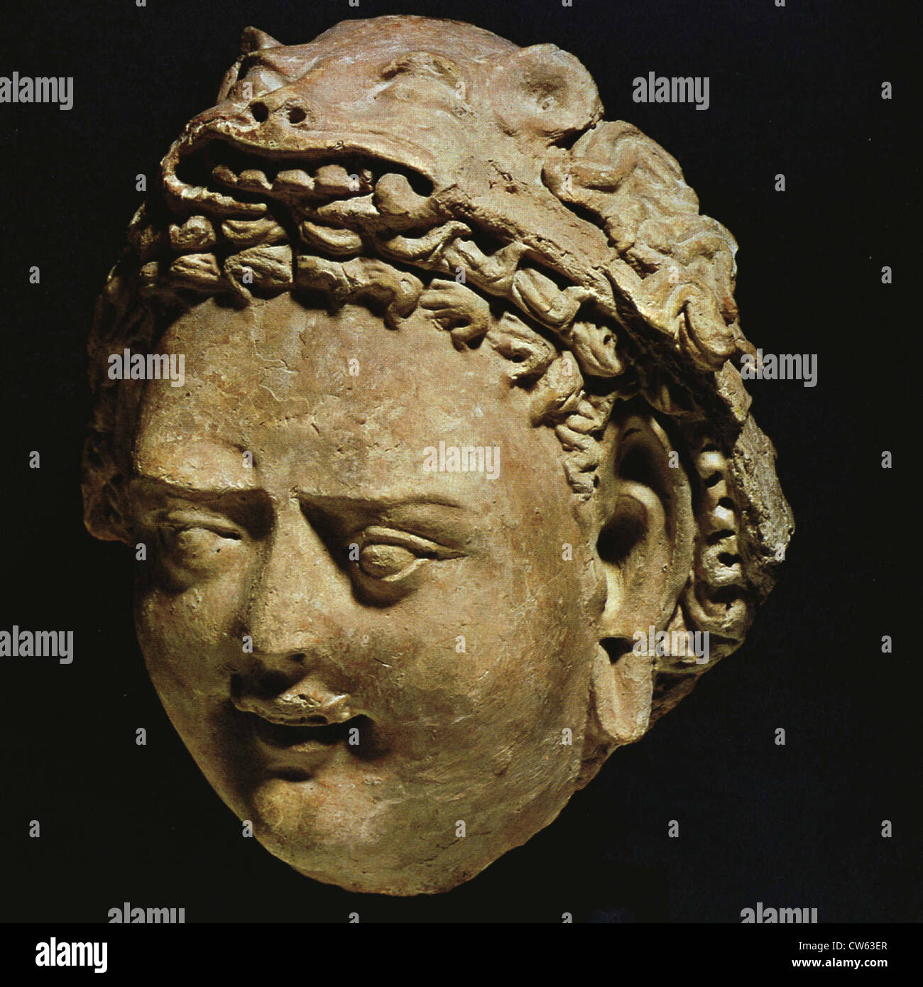 Leonine hi-res stock photography and images - Alamy