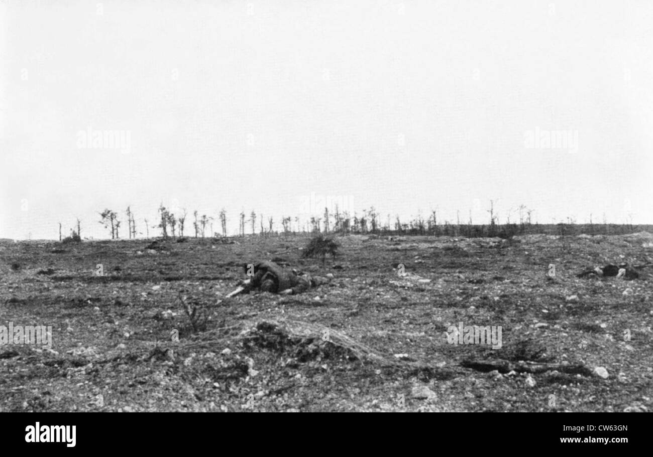Marne battlefield Black and White Stock Photos & Images - Alamy