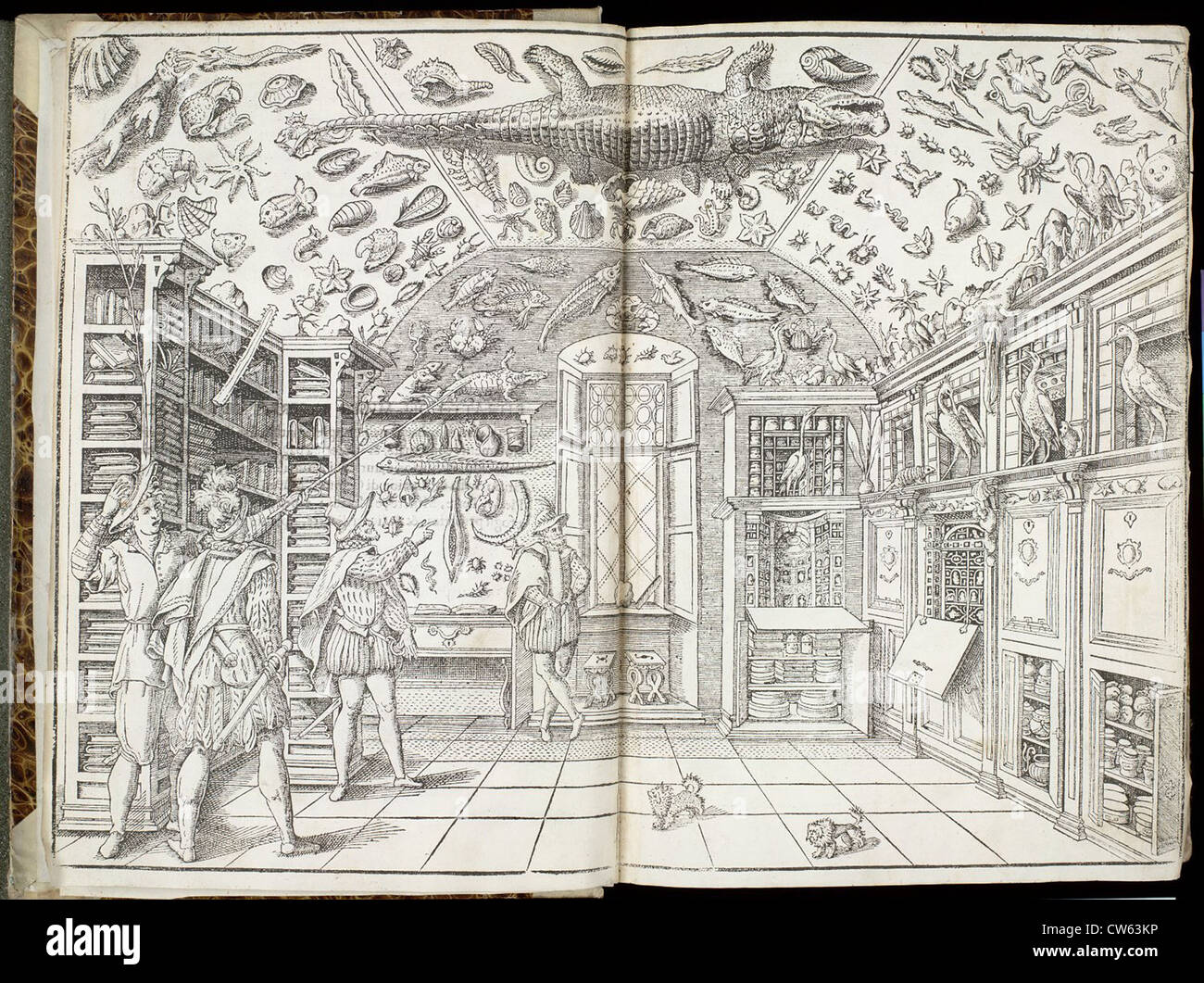 Imperato, Ferrante in his cabinet of curiosities Stock Photo - Alamy