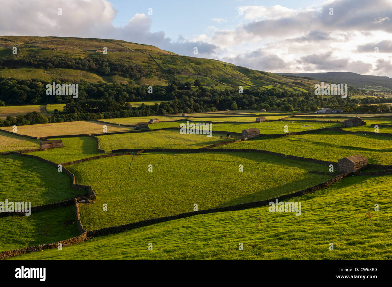 Gunnerside in Swaledale in the Yorkshire Dales in North Yorkshire ...