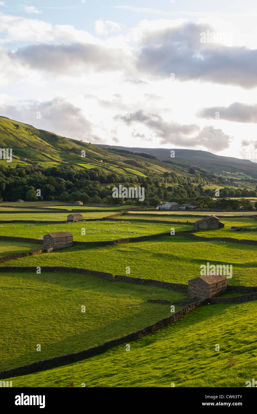 Gunnerside in Swaledale in the Yorkshire Dales in North Yorkshire ...