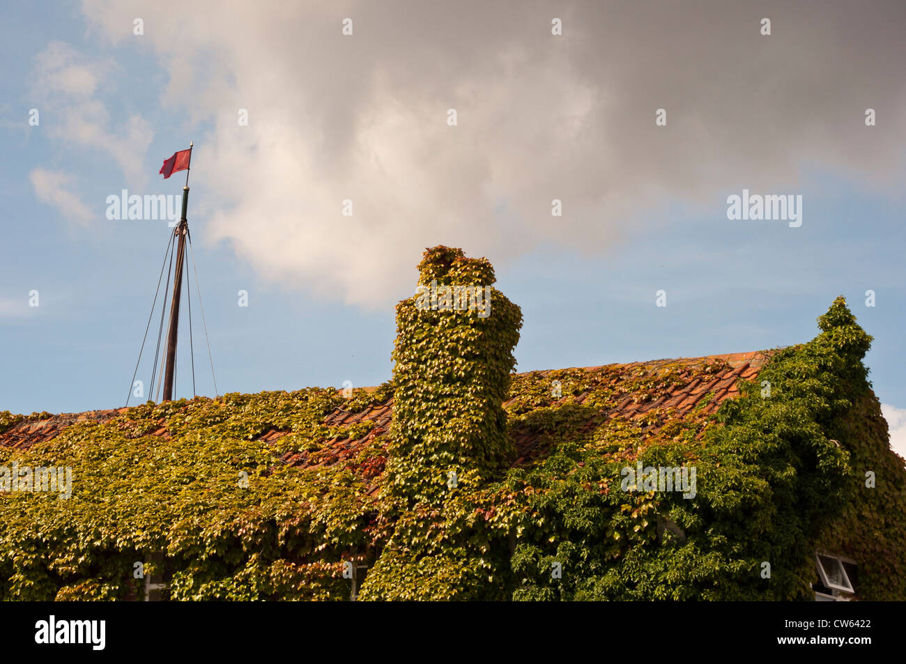 Covered in ivy hi-res stock photography and images - Alamy