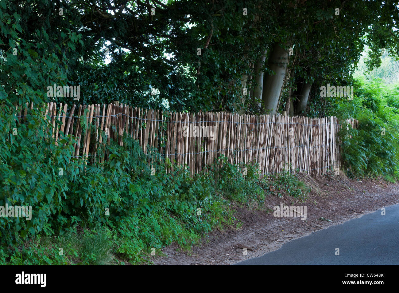 Chestnut paling fence hi-res stock photography and images - Alamy