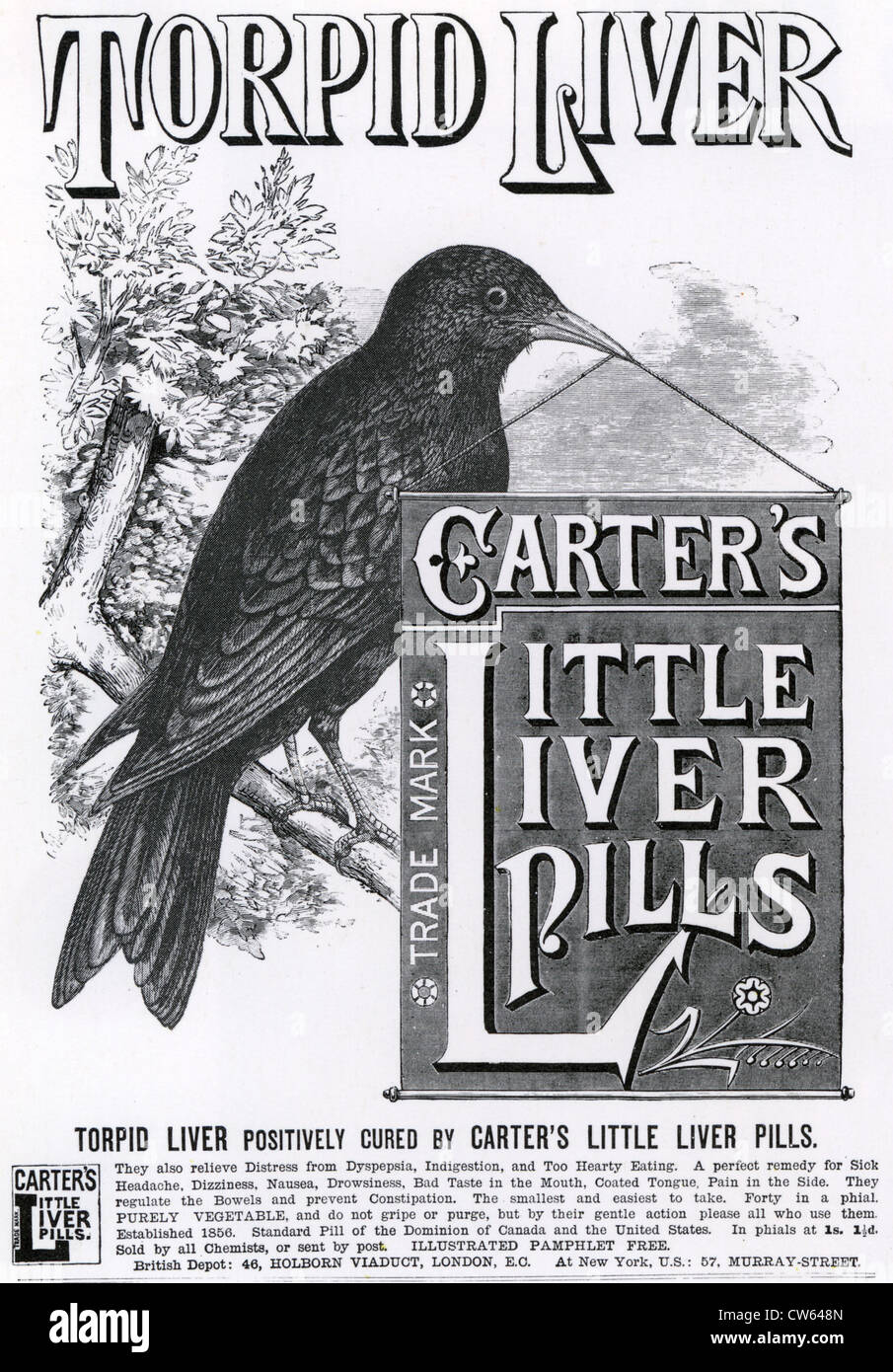 CARTER'S LITTLE LIVER PILLS advert 1890 Stock Photo - Alamy