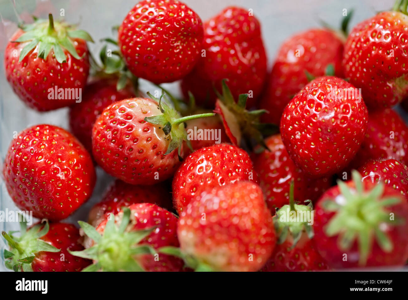 strawberries in a fruit punnet Stock Photo - Alamy