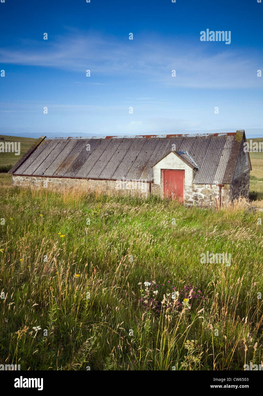 Old barn in a field on the Isle of Skye, Scotland, UK Stock Photo - Alamy