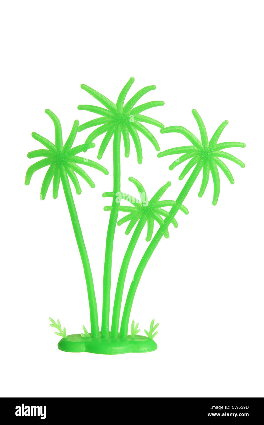 Palm tree cut Cut Out Stock Images & Pictures - Alamy