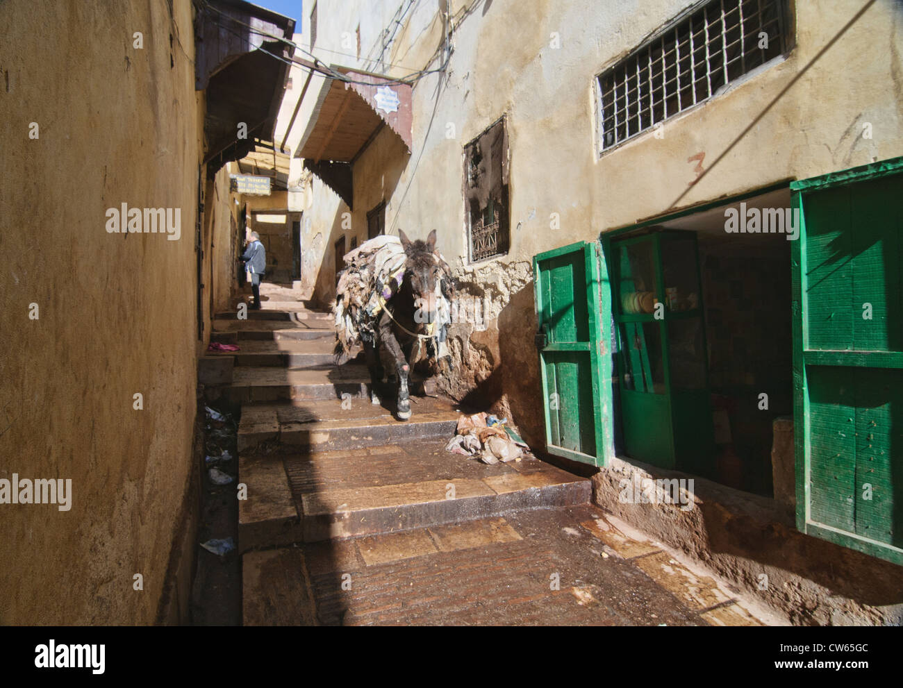 donkey transporting animal skins to the leather tanneries in the ...