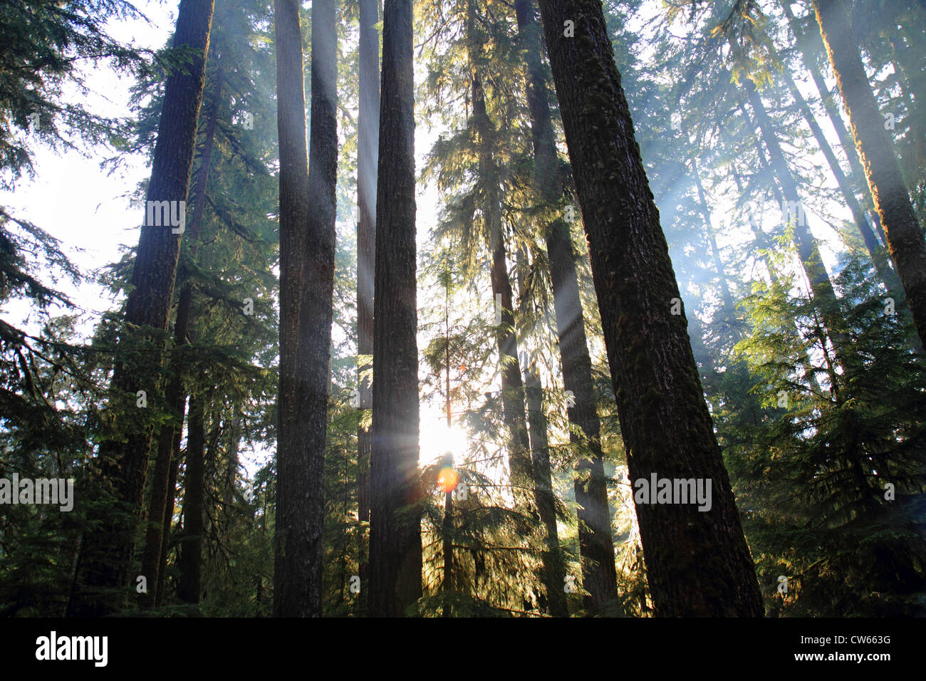 Old olympic park hi-res stock photography and images - Alamy