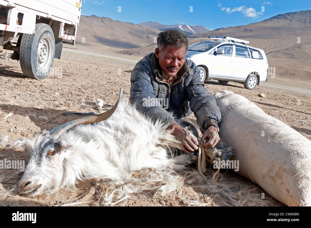Nomadic shepherds hi-res stock photography and images - Alamy