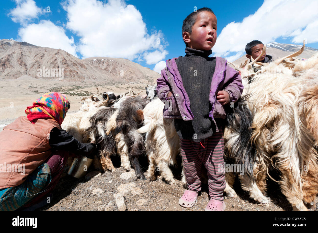 Nomadic woman hi-res stock photography and images - Alamy
