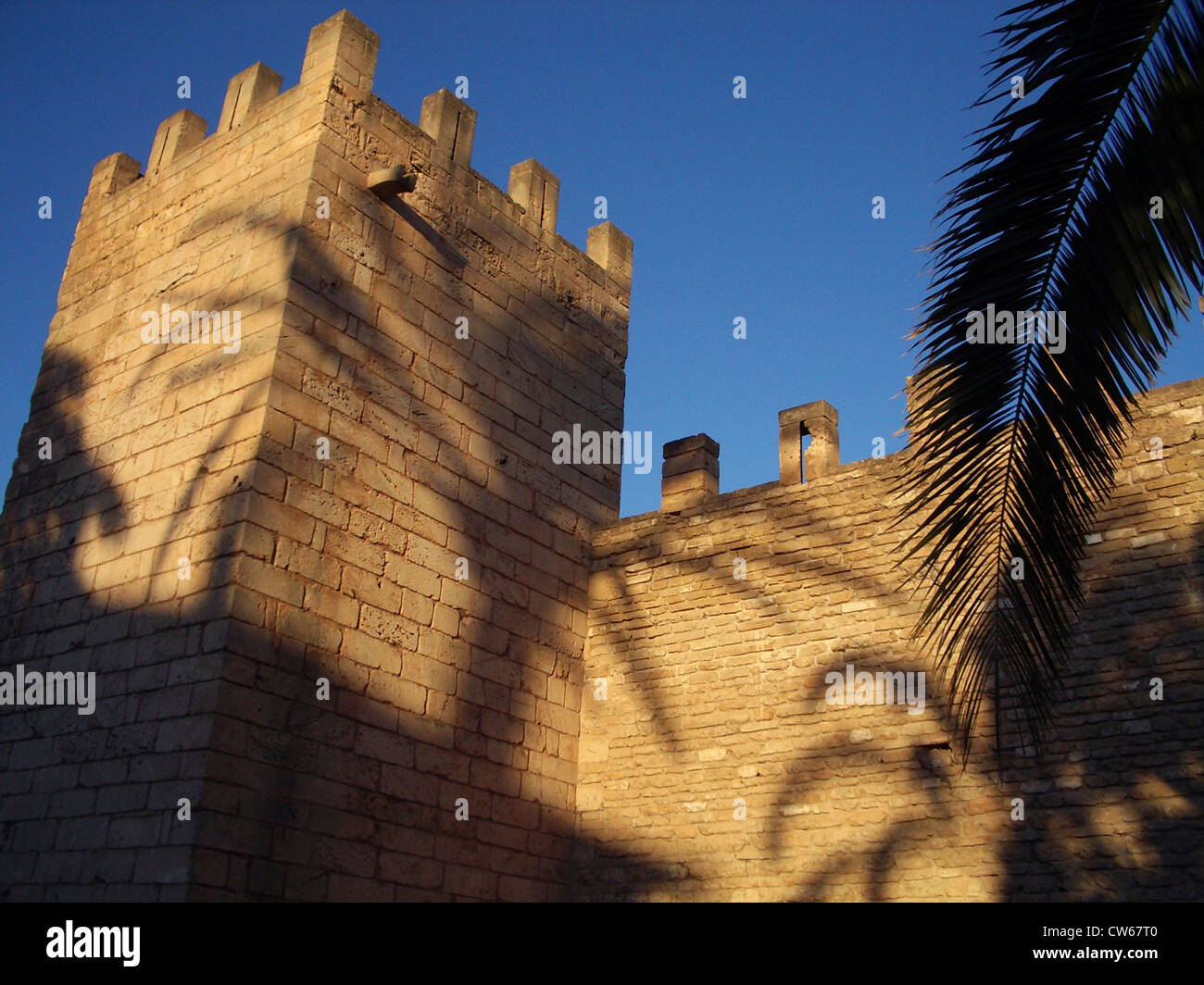 shadow of a palm on the wall of the fortress of Alcudia, Spain ...