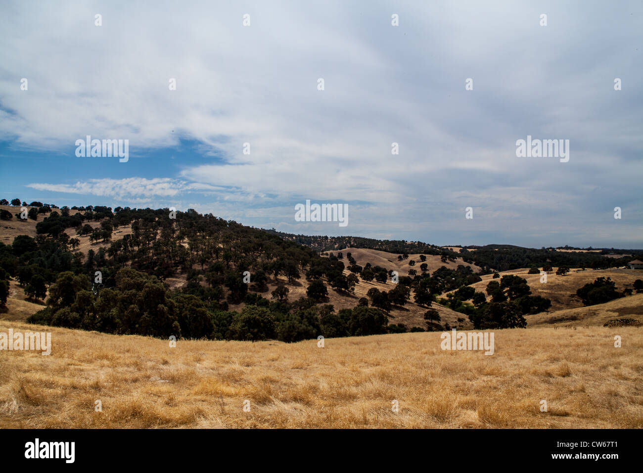 Rolling Grassland along highway 49 in California's Gold Rush country ...