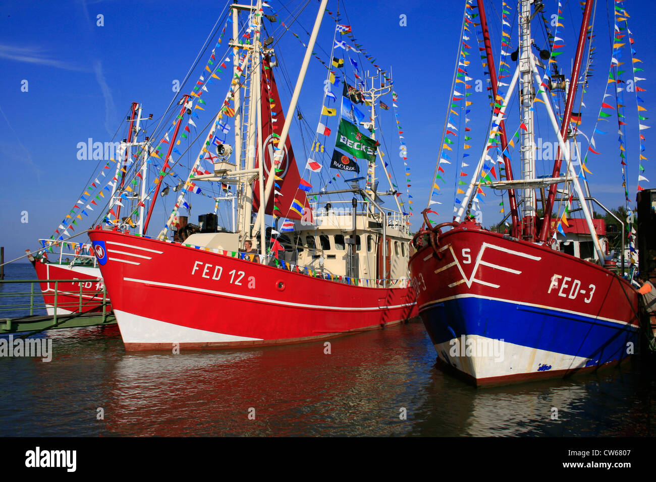 regatta of fishing cutters in Fedderwardersiel-Butjadingen, Germany ...