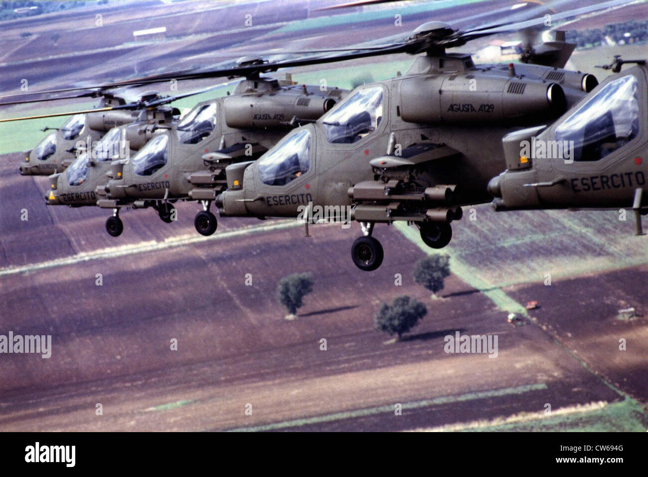 Mangusta hi-res stock photography and images - Alamy