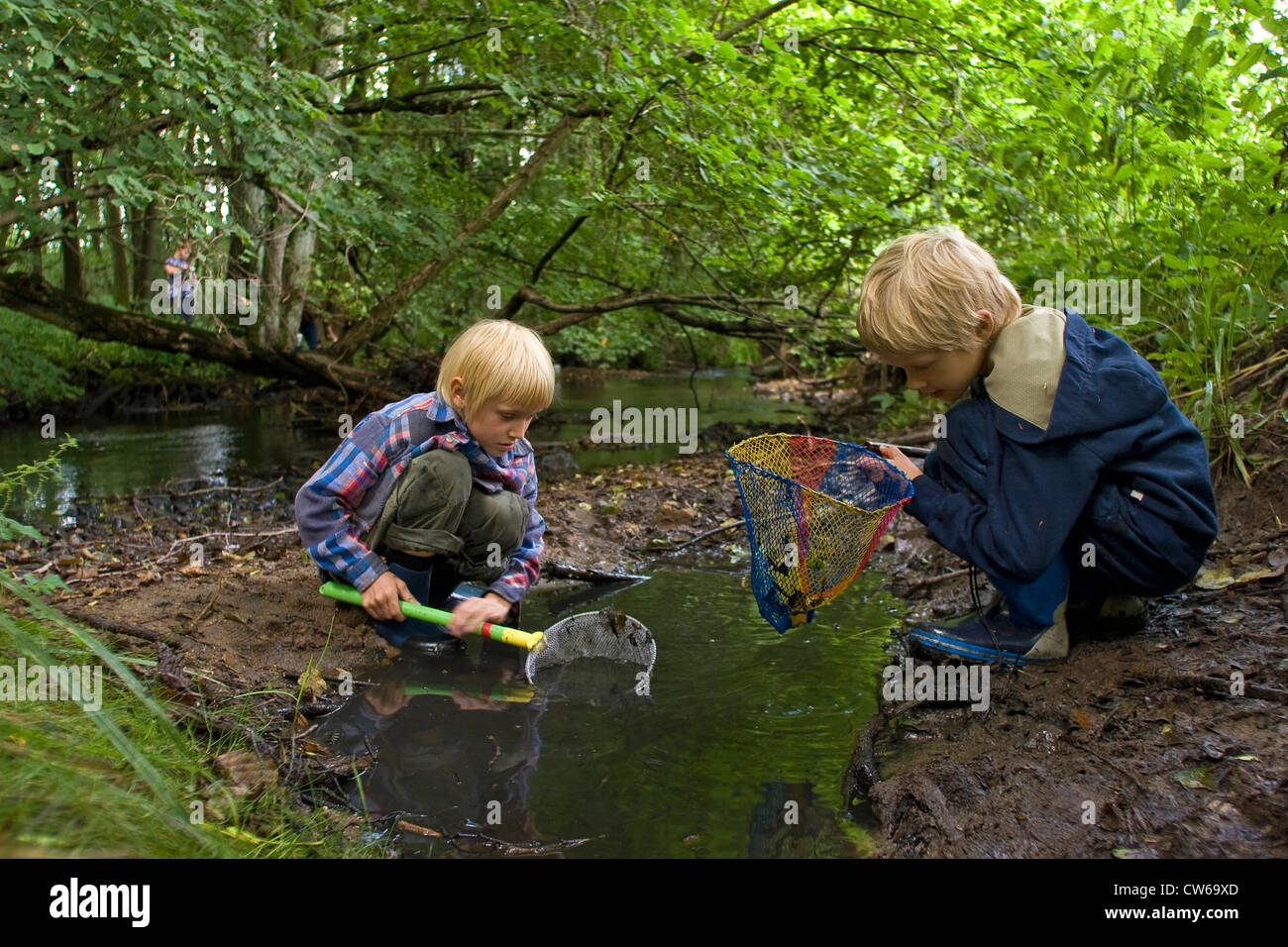Water and animals hi-res stock photography and images - Alamy
