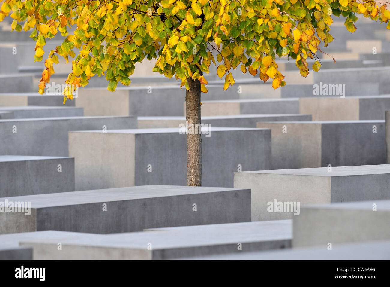 Berlin mcphoto hi-res stock photography and images - Alamy