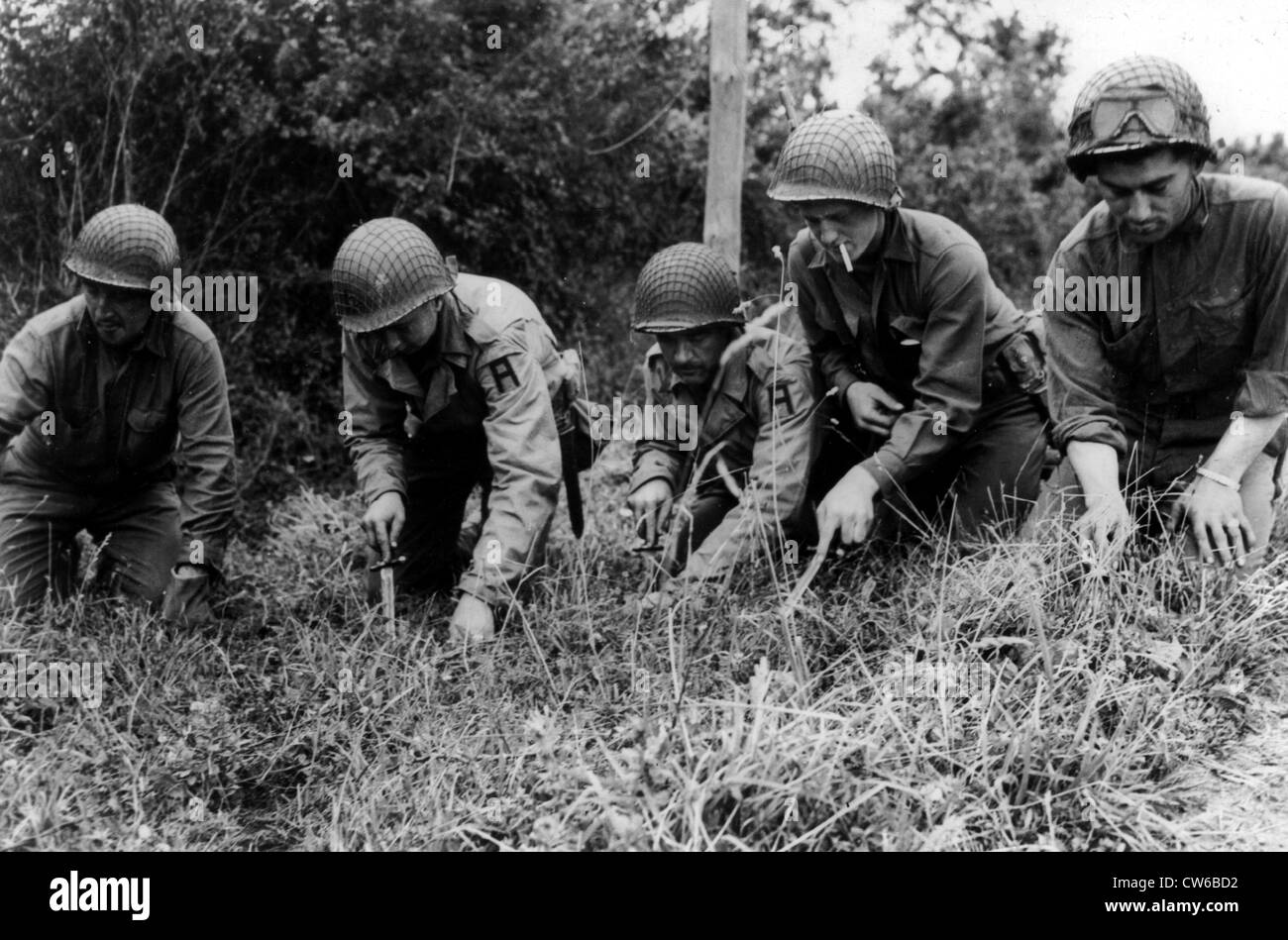 Mine hunt in Normandy (France) summer 1944 Stock Photo - Alamy