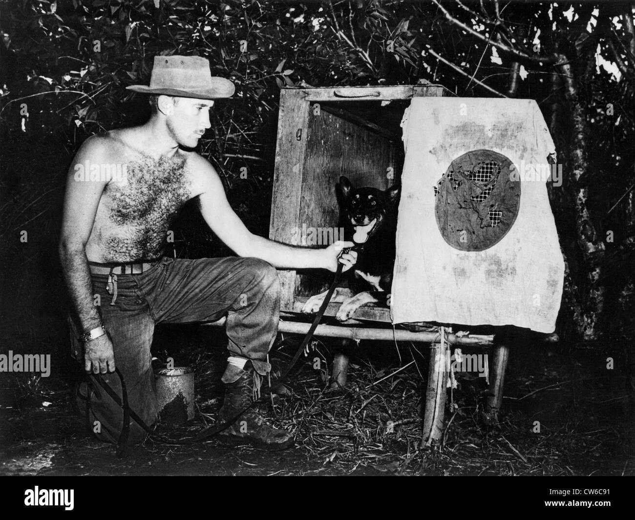 Dog patrols on Burma front (1944 Stock Photo - Alamy