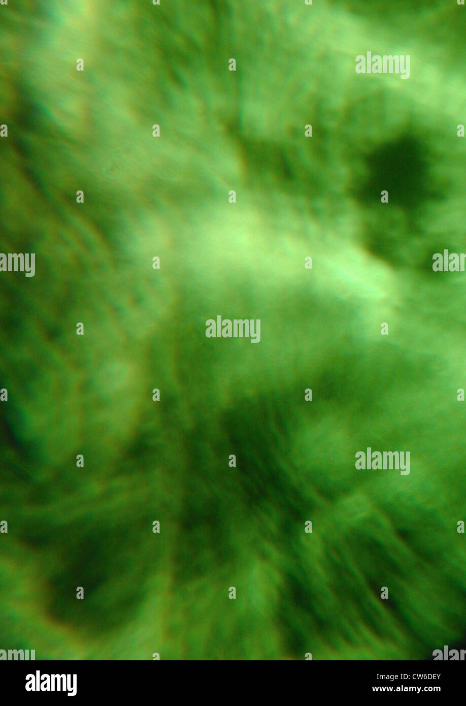 Diffuse opacity hi-res stock photography and images - Alamy