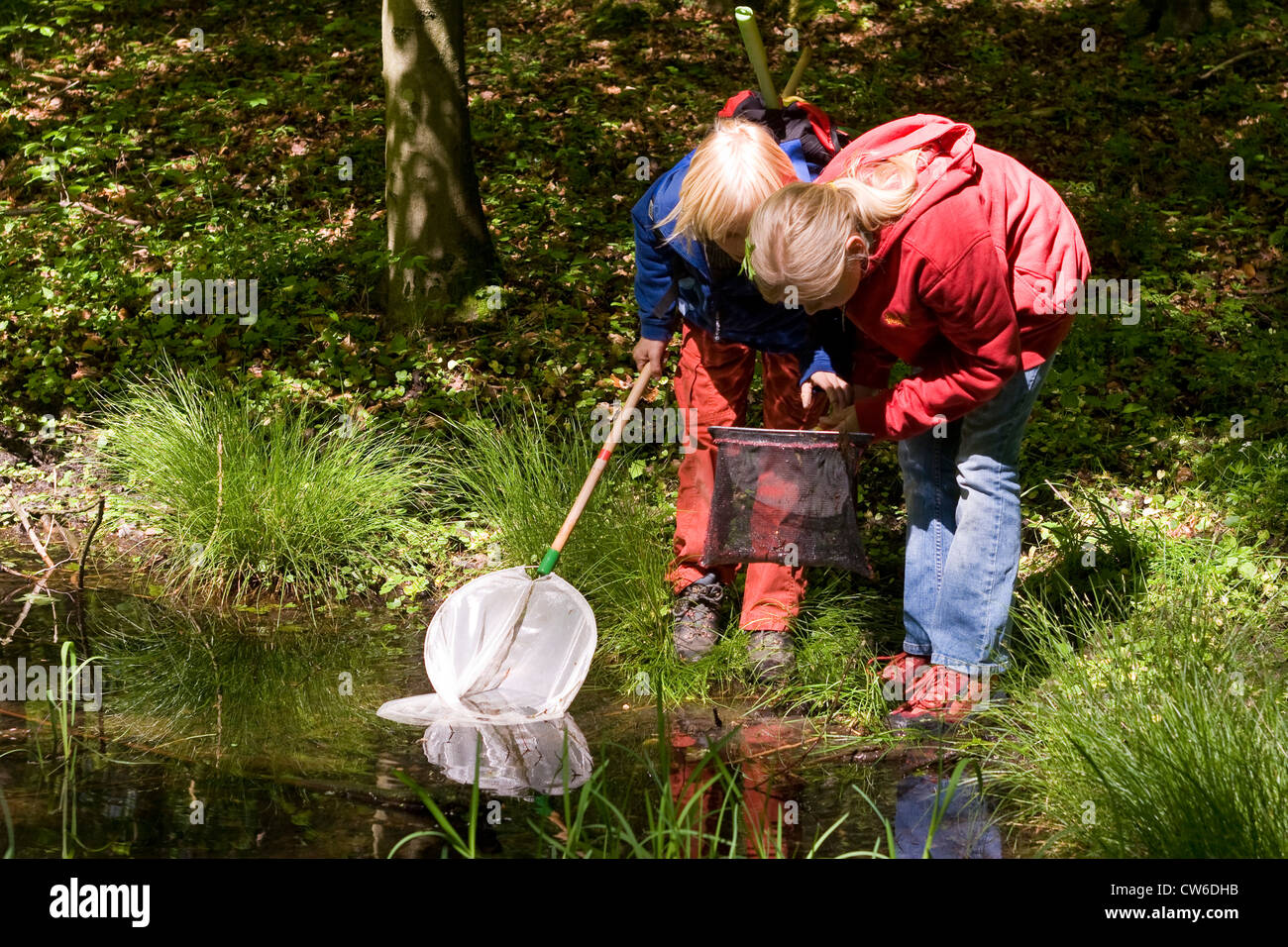 two children with dip nets at a forest pond Stock Photo - Alamy
