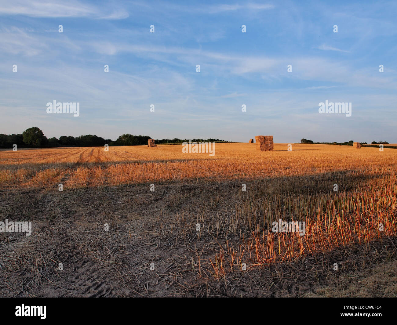 Hay fields hi-res stock photography and images - Alamy