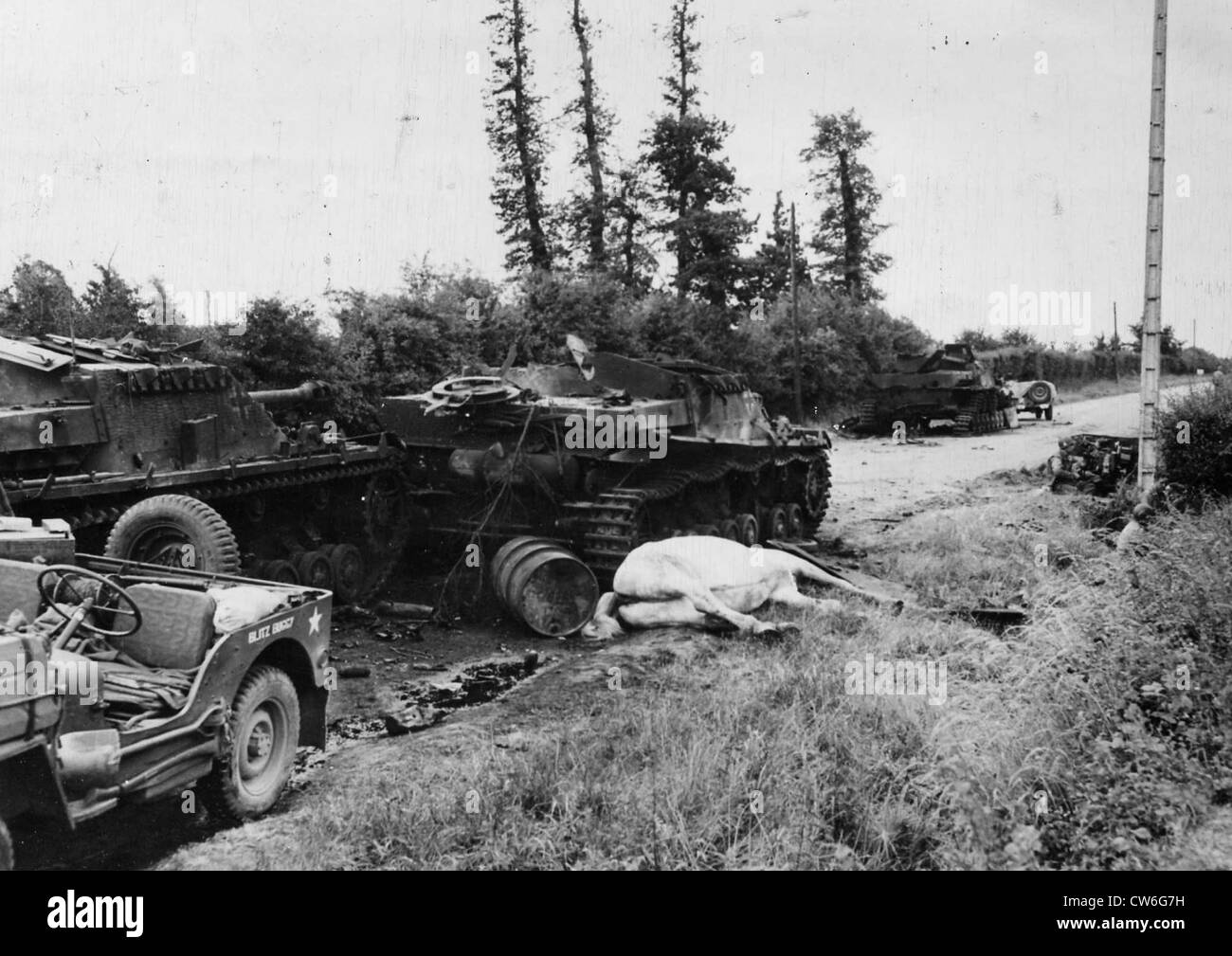Carentan road in Normandy (June 1944 Stock Photo - Alamy
