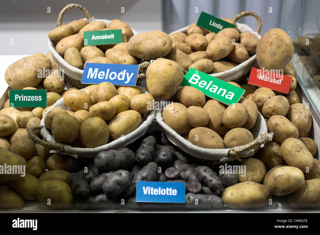 Names of various species hi-res stock photography and images - Alamy