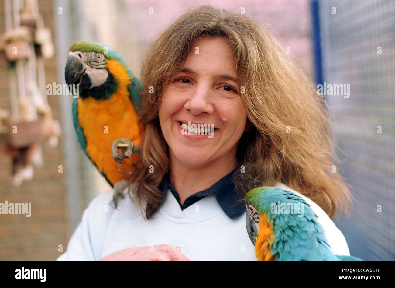 Grossziethen, parrot station Stock Photo - Alamy
