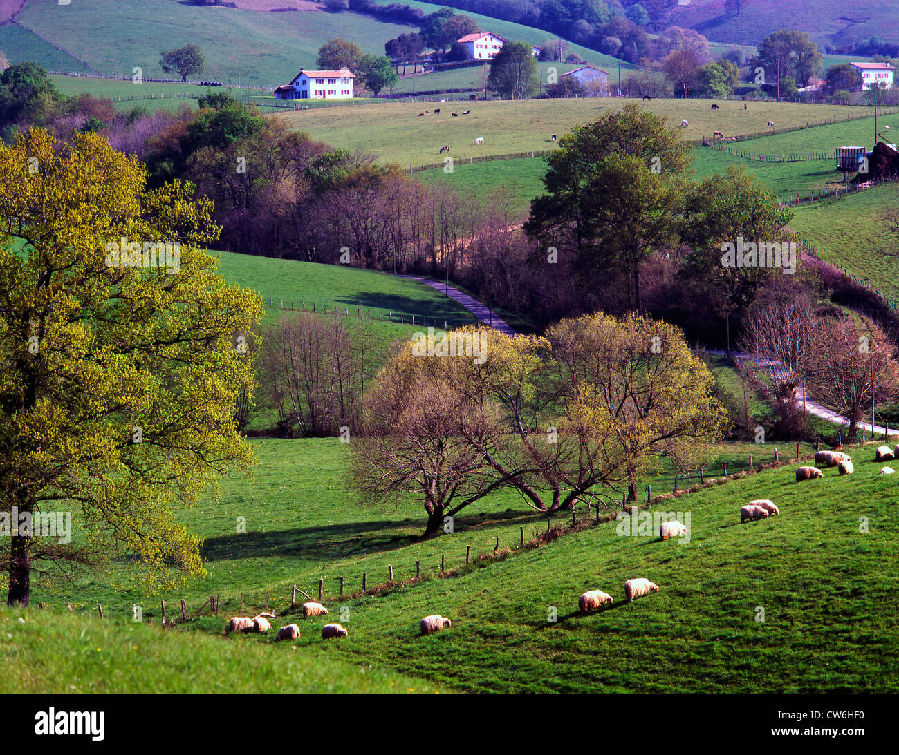 France Pays Basque region landscape hills Stock Photo - Alamy