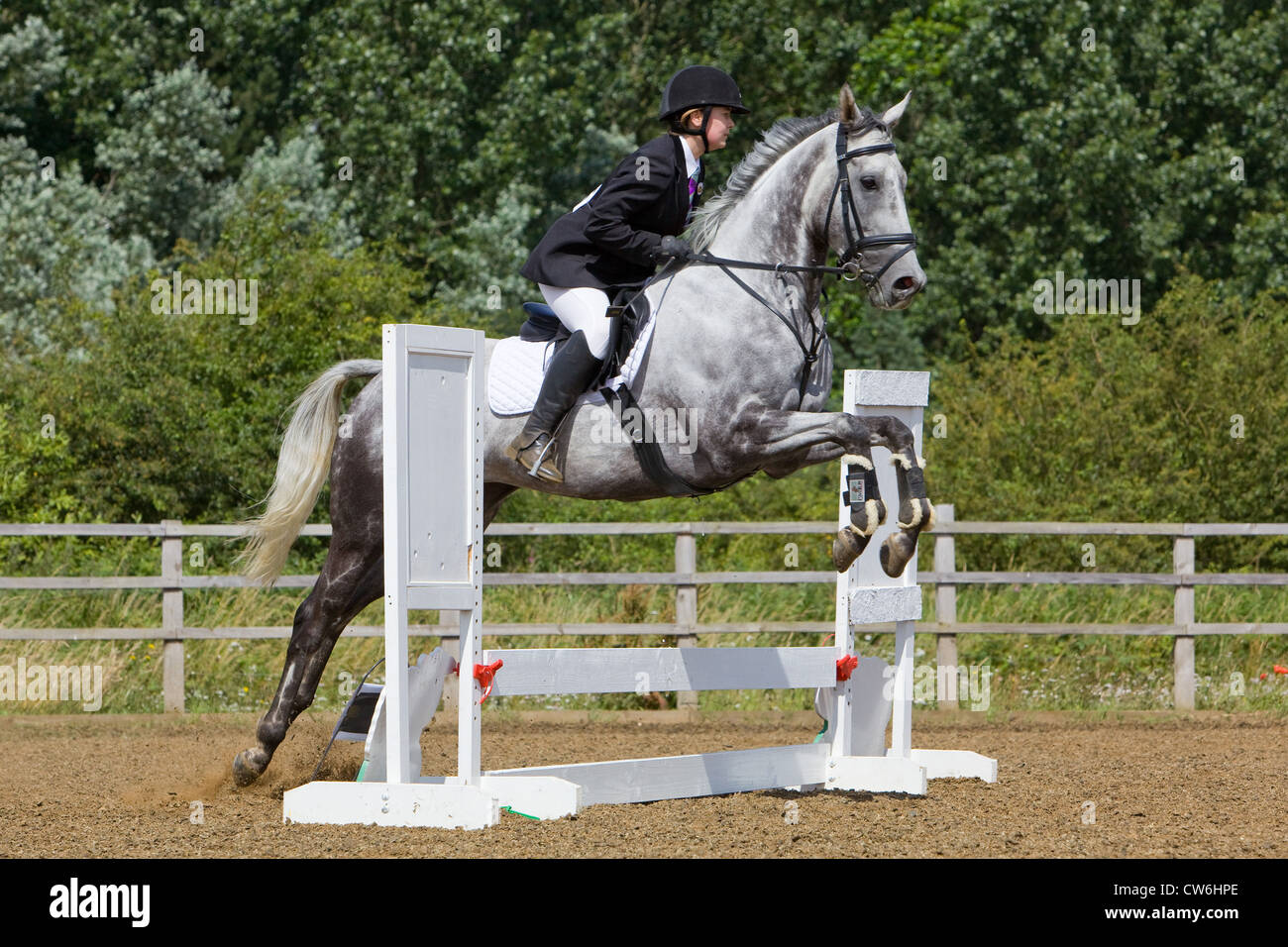 A horse and rider jumping a fence during a show jumping competition ...
