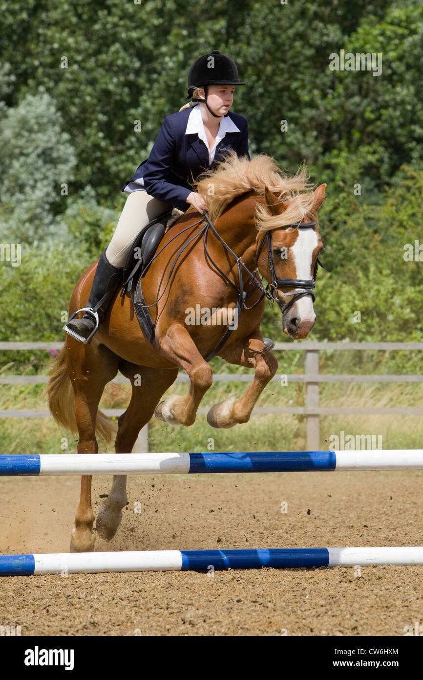 A horse and rider jumping a fence during a show jumping competition ...