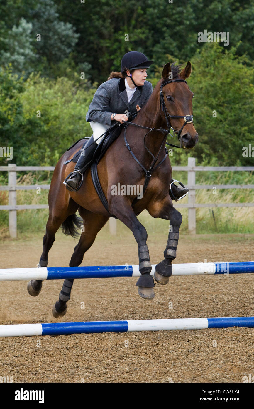 A horse and rider jumping a fence during a show jumping competition ...
