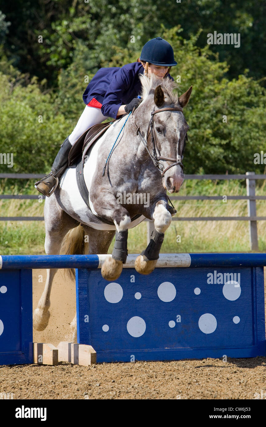 A horse and rider jumping a fence during a show jumping competition ...