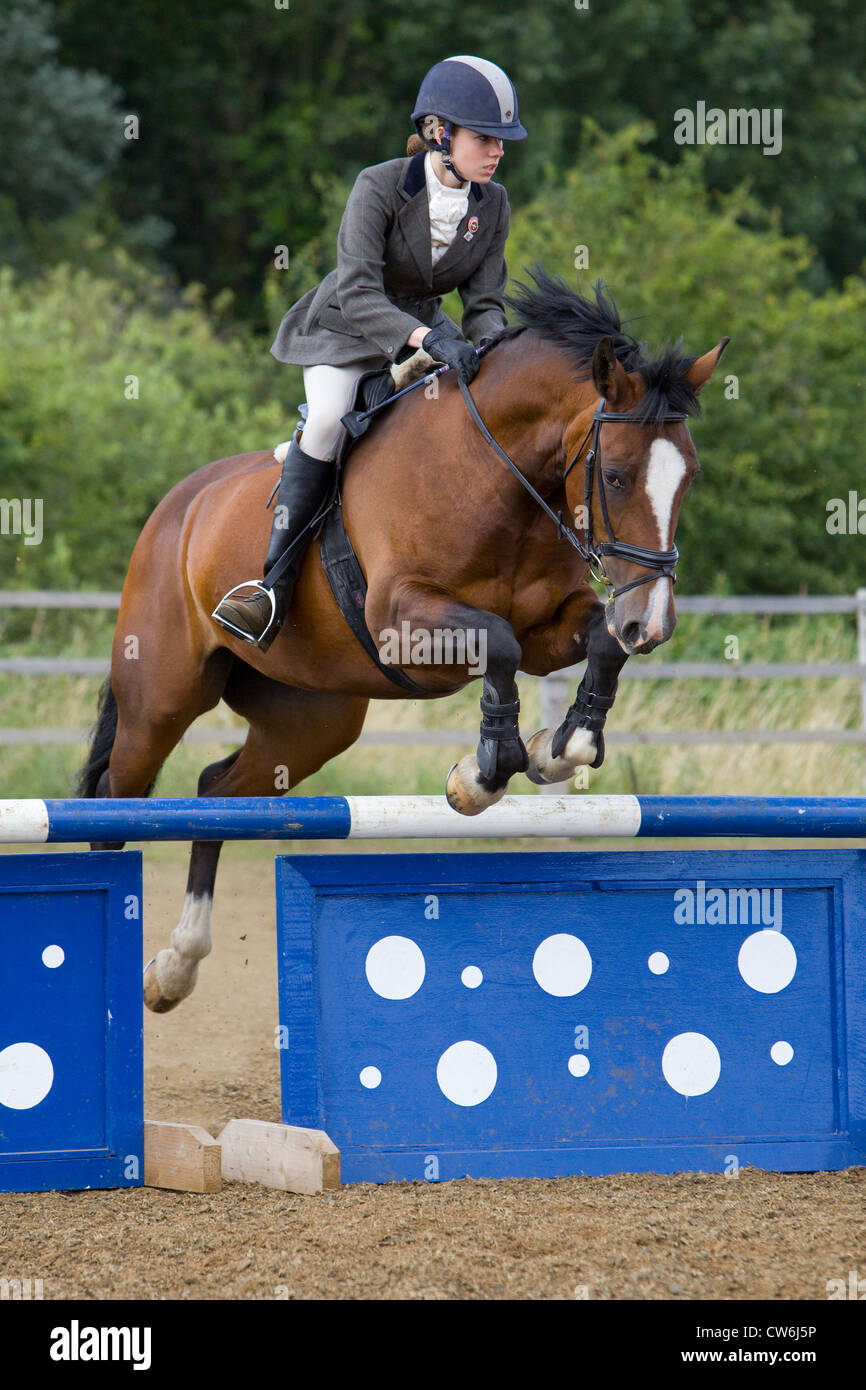 A horse and rider jumping a fence during a show jumping competition ...