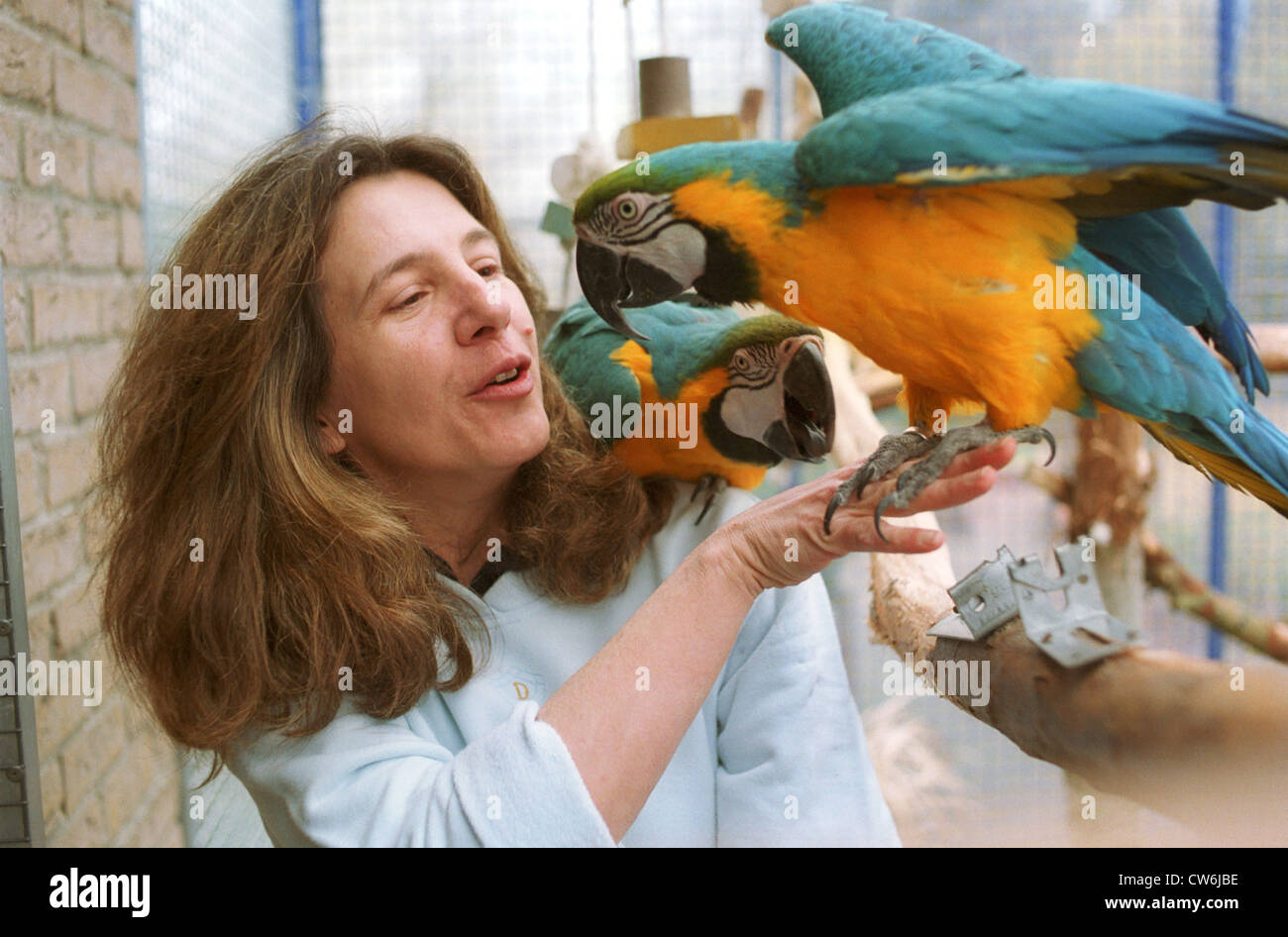 Grossziethen, parrot station Stock Photo - Alamy