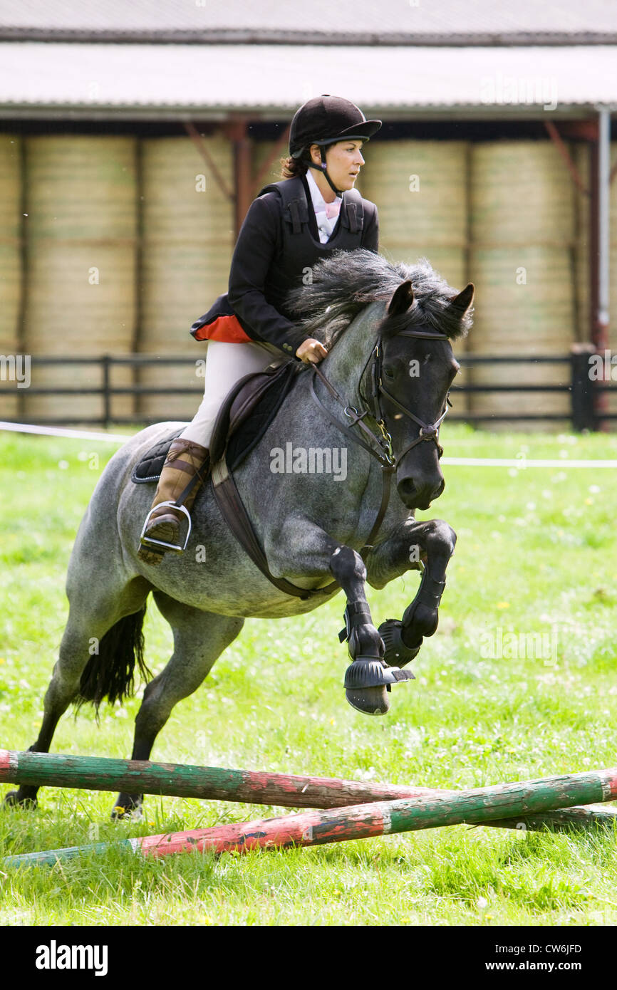 A horse and rider jumping a fence during a show jumping competition ...