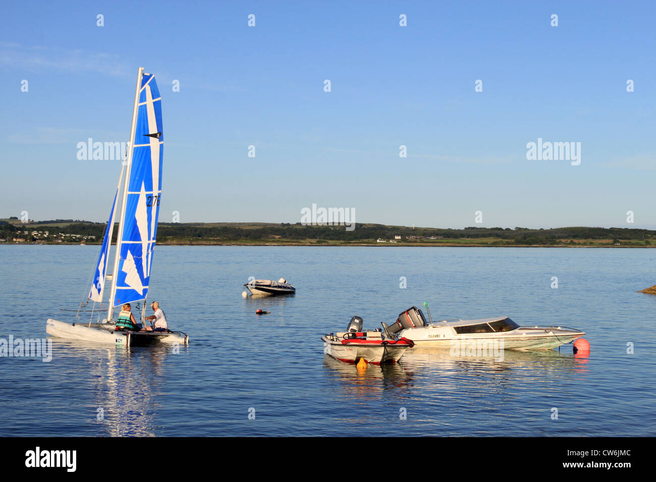 Mossyard hi-res stock photography and images - Alamy