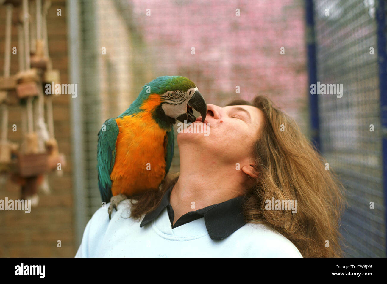 Grossziethen, parrot station Stock Photo - Alamy