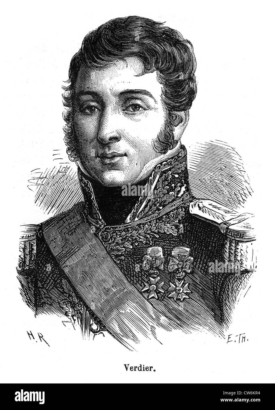 Verdier Cut Out Stock Images & Pictures - Alamy