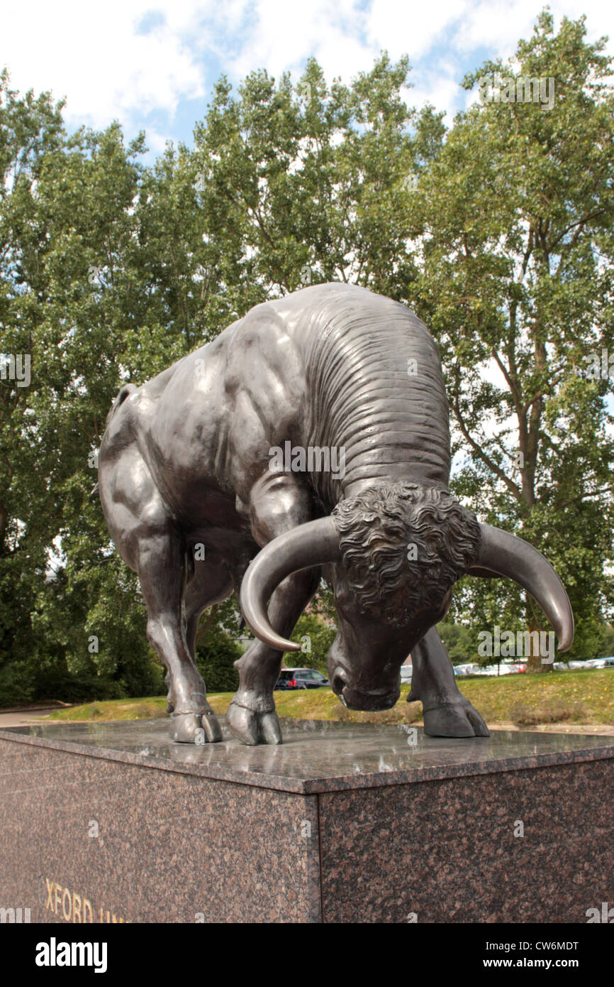 Statue of an Ox outside Oxford United's Kassam Stadium Stock Photo - Alamy