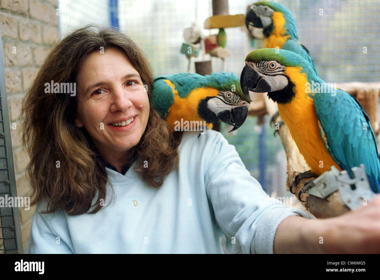 Grossziethen, parrot station Stock Photo - Alamy