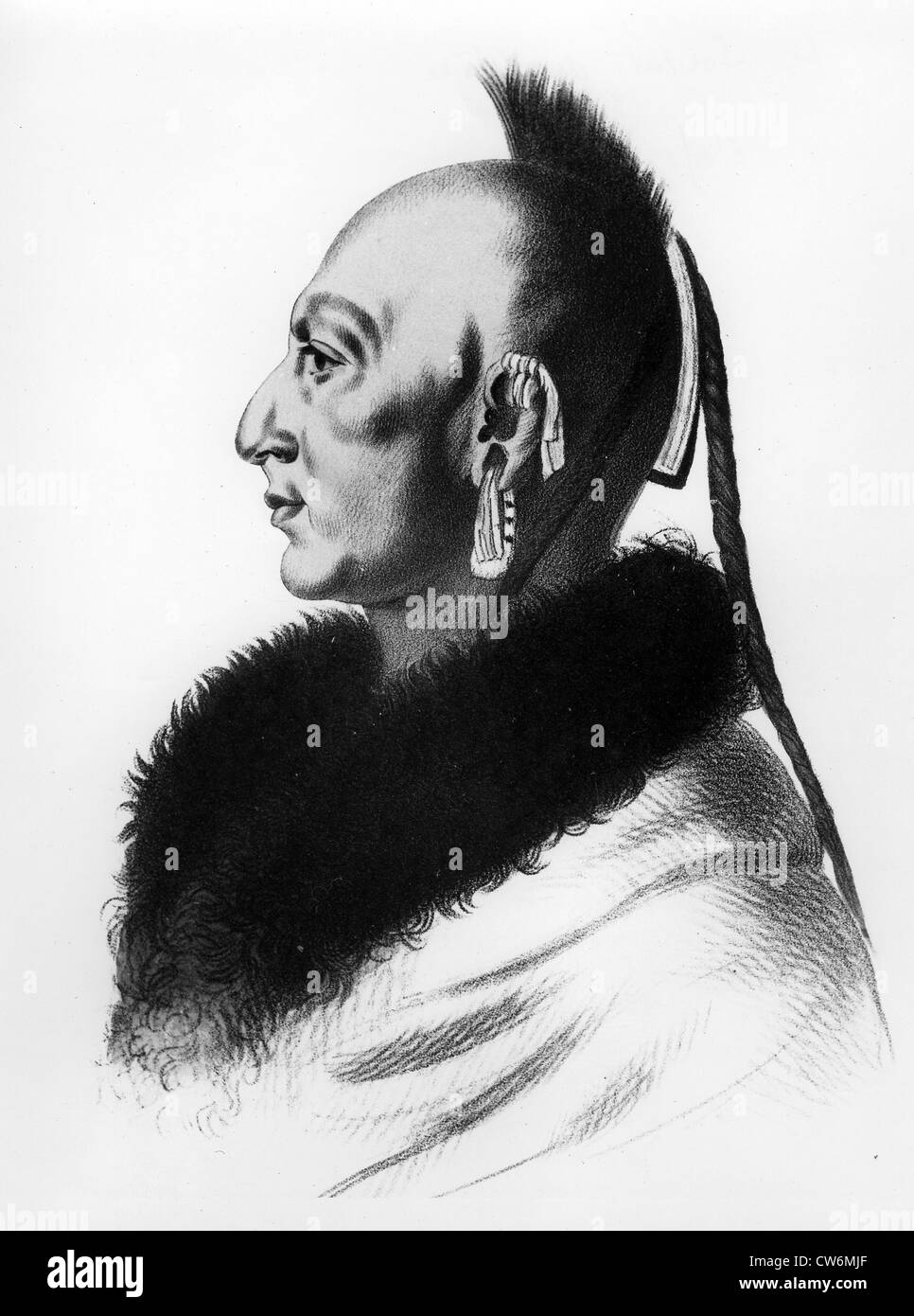 Chene hi-res stock photography and images - Alamy